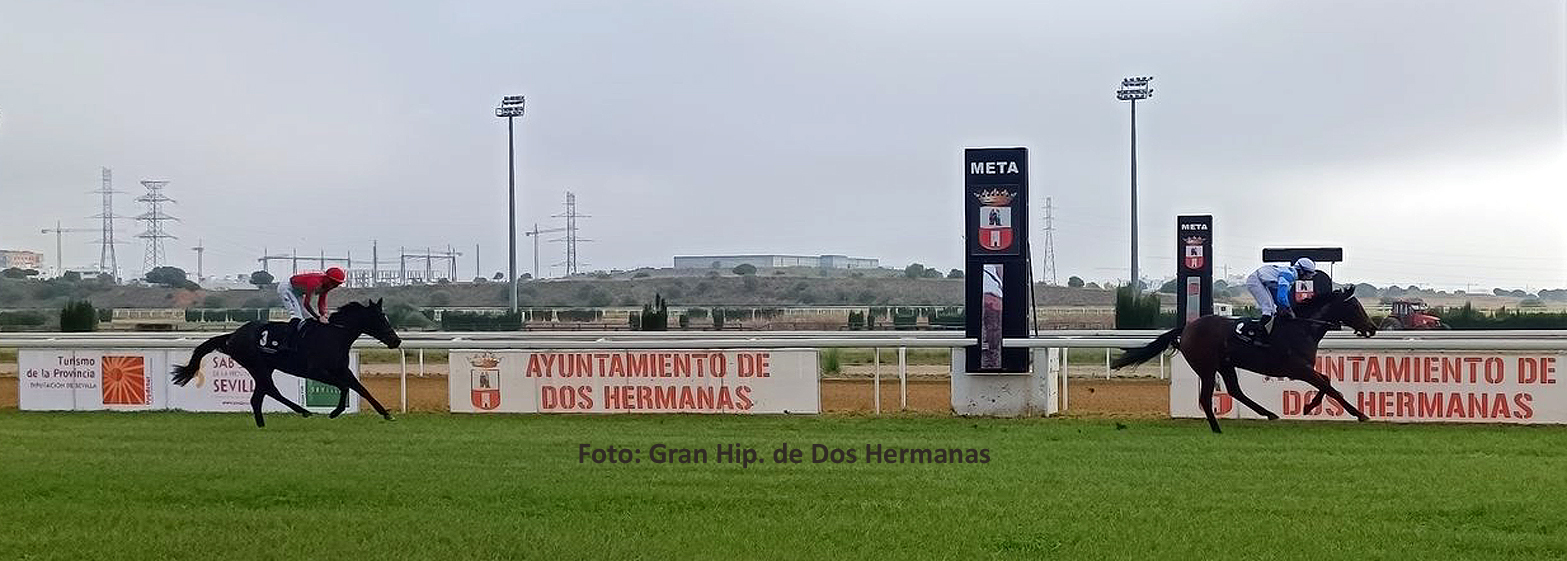 Partant - Dos Hermanas - domingo 18/12/22 (hierba) - Noticias A Galopar